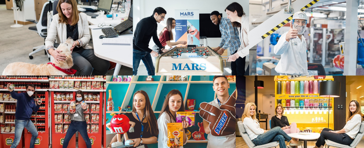 Export Customer Service Officer (F/ H/ X) job in Aimargues, Gard ...