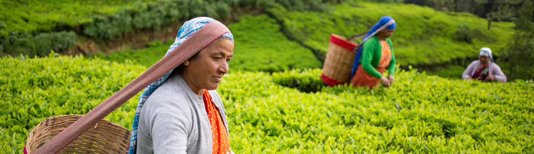 Student Opportunities & internships | Merck Careers