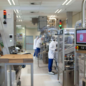 Join our team at MSD Haarlem, NL | MSD Careers