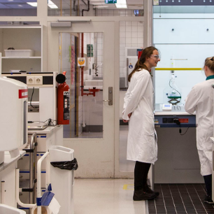 Join our team at MSD Haarlem, NL | MSD Careers