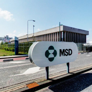 Join our team at MSD Haarlem, NL | MSD Careers