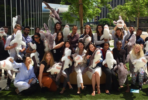 WBD Internships & Early Careers Copy | Warner Bros. Discovery