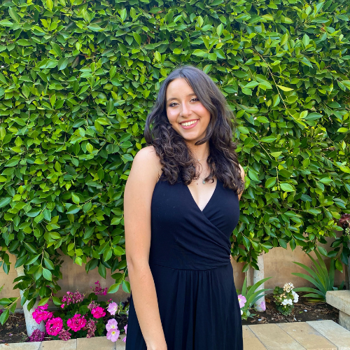 Reach Honorship Program | Warner Bros. Discovery